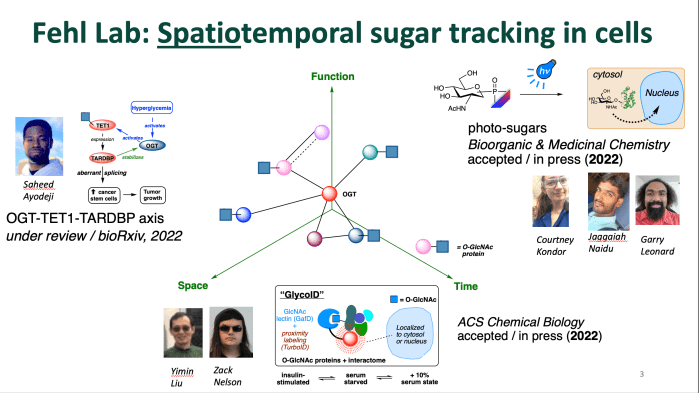 Projects – Fehl Lab