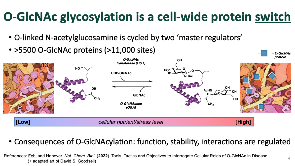 Projects – Fehl Lab